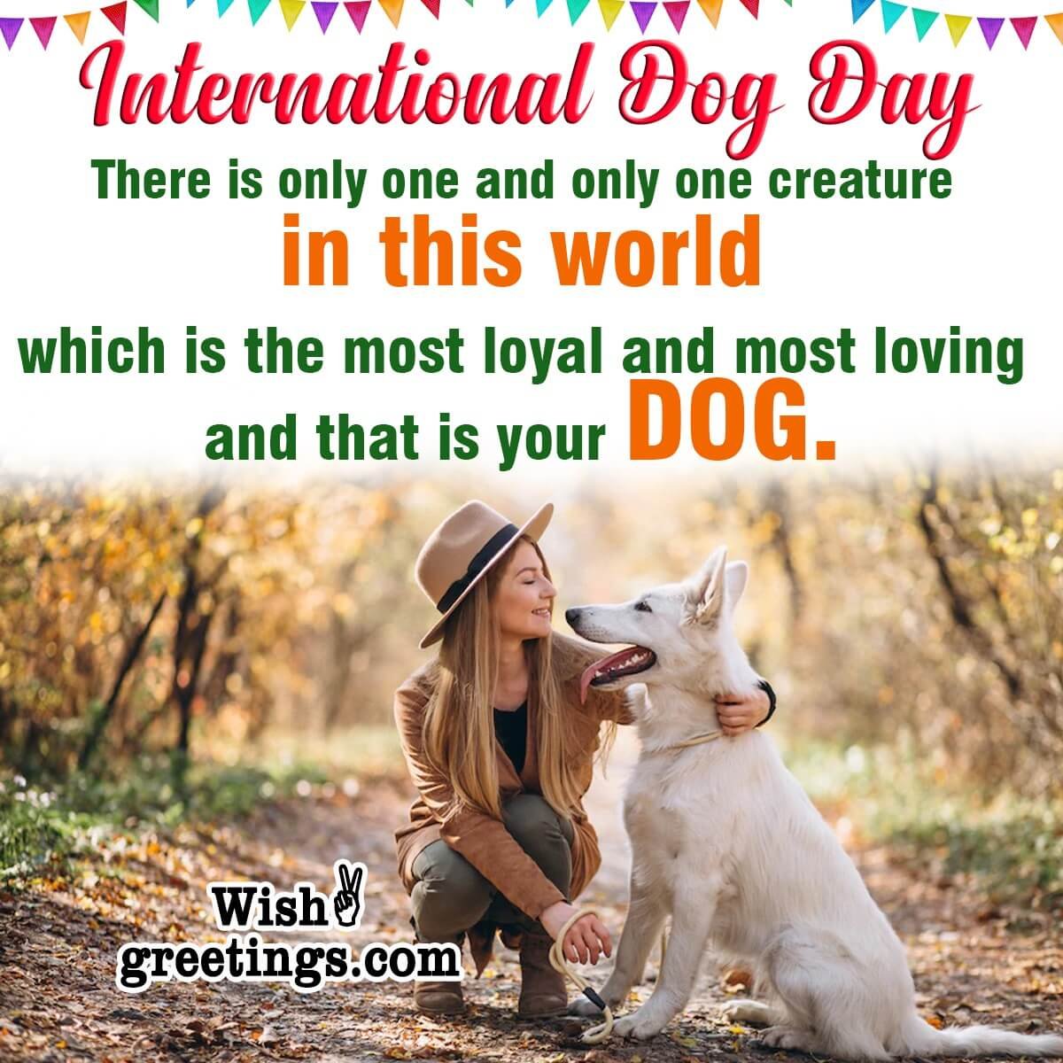 International Dog Day Quotes And Messages Wish Greetings International Dog Day Quotes And Messages Wish Greetings